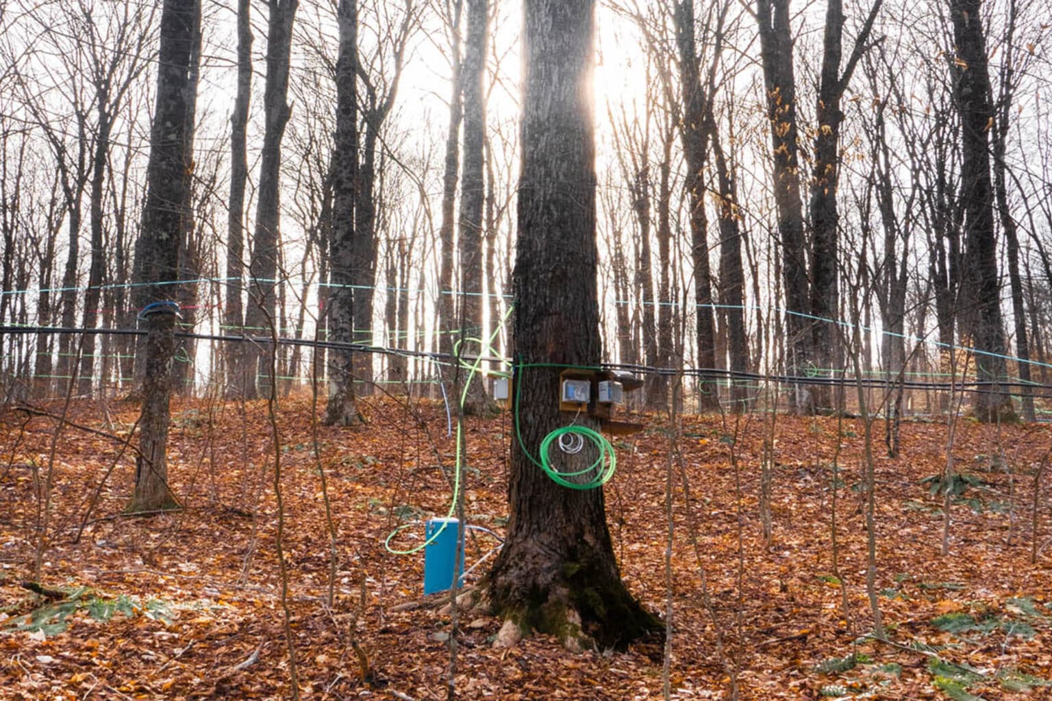 Photos - NYS Maple Producers Association